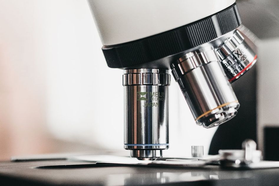 MSU drug developers win seed funding for development of cancer ...