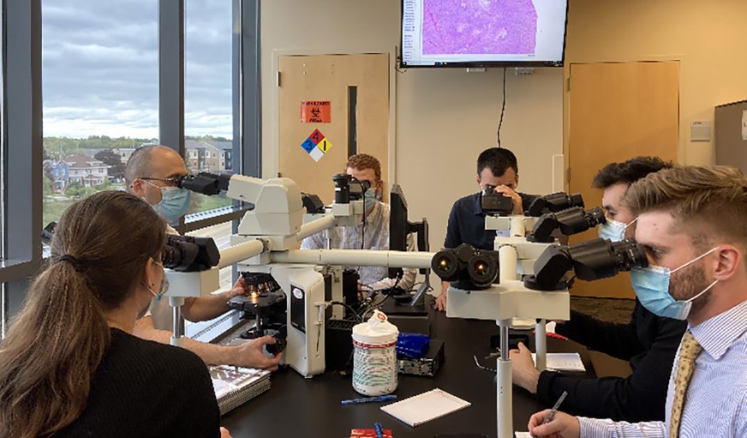 MSUCOM Pathology Student Award winners | MSU Osteopathic Medicine